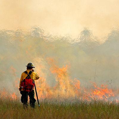Wildfire Preparedness Safety Tips :: Alberta Provincial Rural Crime ...